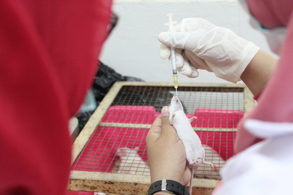 Hewan Coba – Laboratorium Penelitian dan Pengujian Terpadu